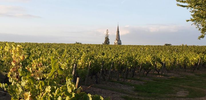 Quels sont les vins de Loire ? – Vinispi