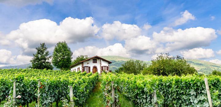 Les vins rouges du Sud-Ouest – Vinispi