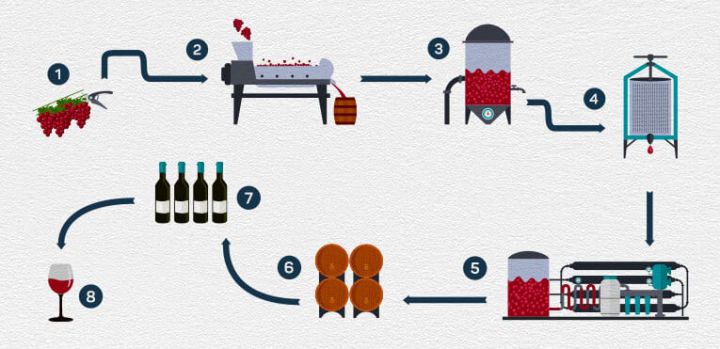 Quelles sont les étapes de fabrication du vin ? – Vinispi
