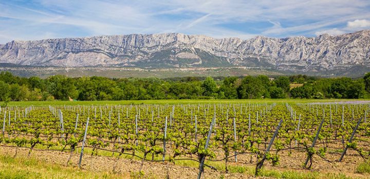 Les vins d’Aix-en-Provence – Vinispi