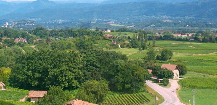 AOC Abymes, Vin de Savoie – Vinispi AOC Abymes, Vin de Savoie – Vinispi