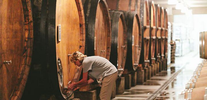 Que veut dire « élevé en foudre » ? – Vinispi