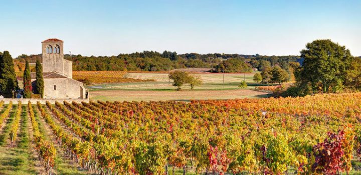 Côtes-de-Duras, Vin du Sud-Ouest – Vinispi